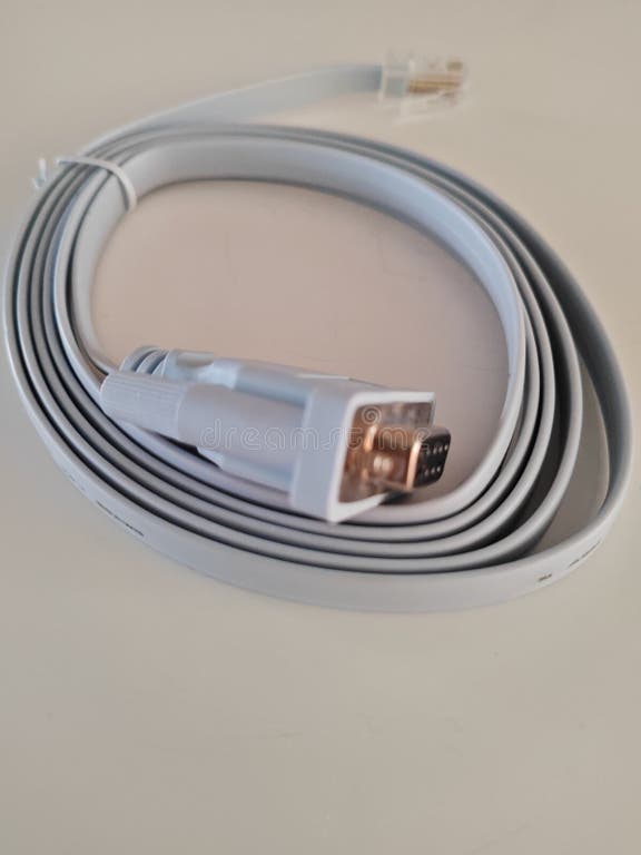 A Light Grey Data Cable, a Serial (DB9) To RJ45 Console Cable, is ...