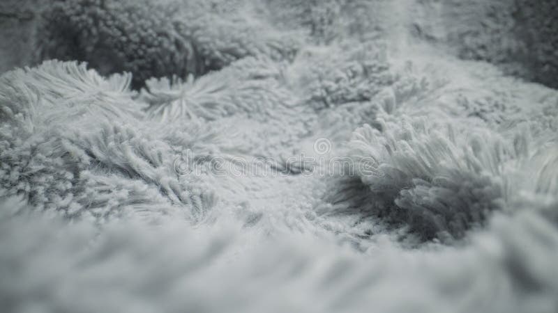 Light grey synthetic fur stock video. Video of material - 258639093