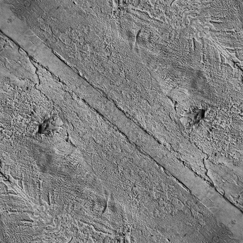 Light Grey Textured Abstract Background Digital Art Stock Image - Image ...