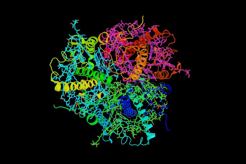 Light-harvesting Complex, an Array of Protein and Chlorophyll Mo Stock ...