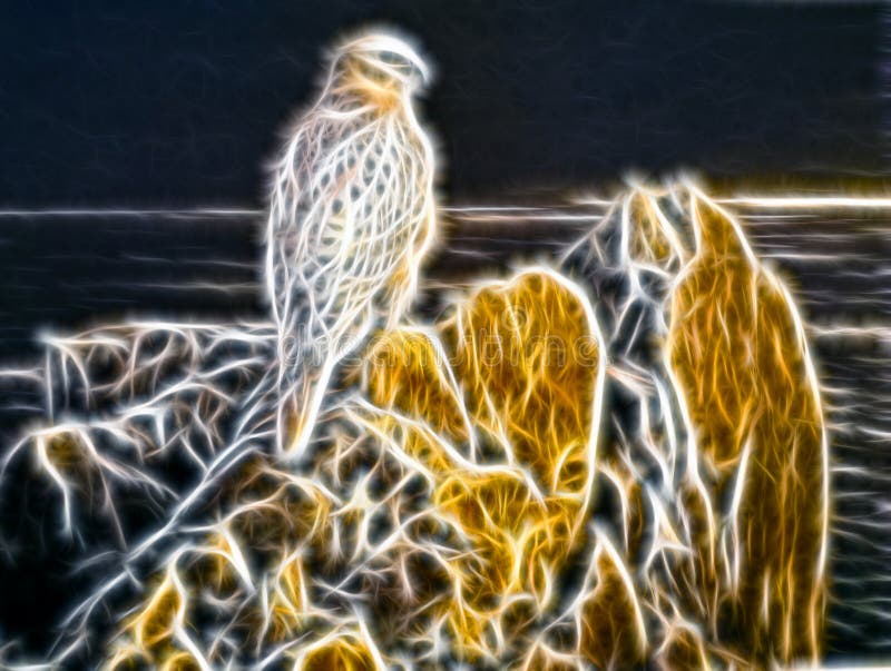 Light Hawk on Rocks stock illustration. Illustration of beauty - 49154673