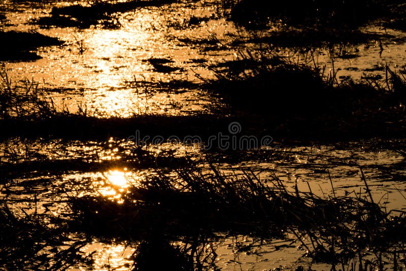 Light Hits the Surface of the Pool. the Dimension of the Surface Stock ...