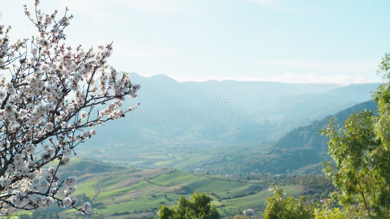 The Light Hitting the Green Landscape of a Mountain Stock Footage ...