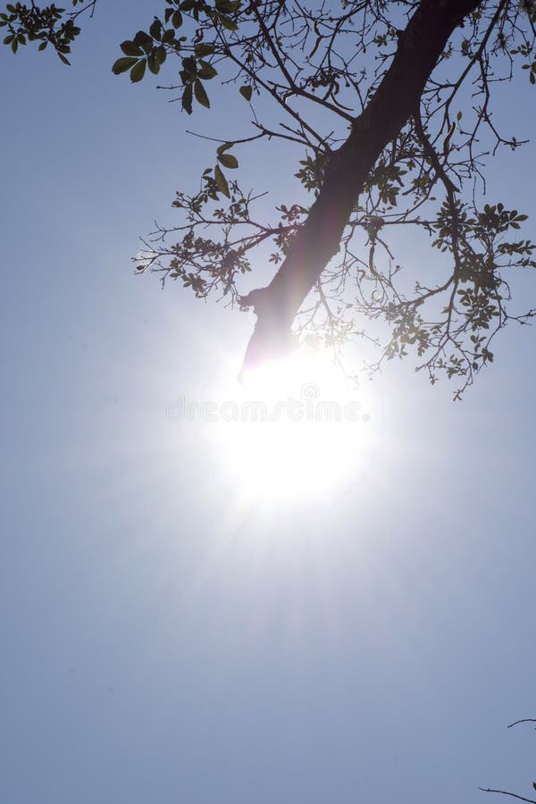 Light, Hope stock image. Image of religion, water, light - 77297409