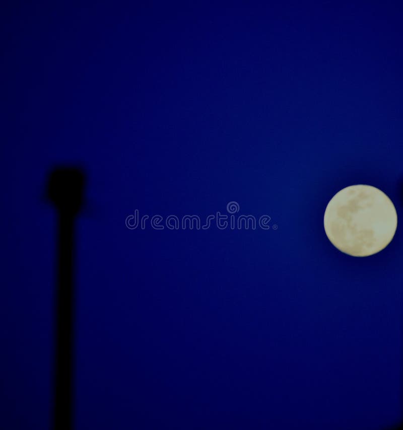 Moonlight stock photo. Image of moonlight, evening, moon - 117671078