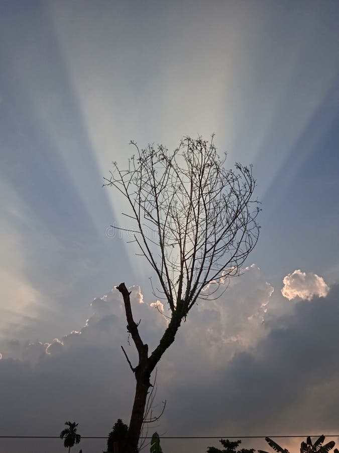 Light of Hope stock image. Image of lost, light, evening - 263564775