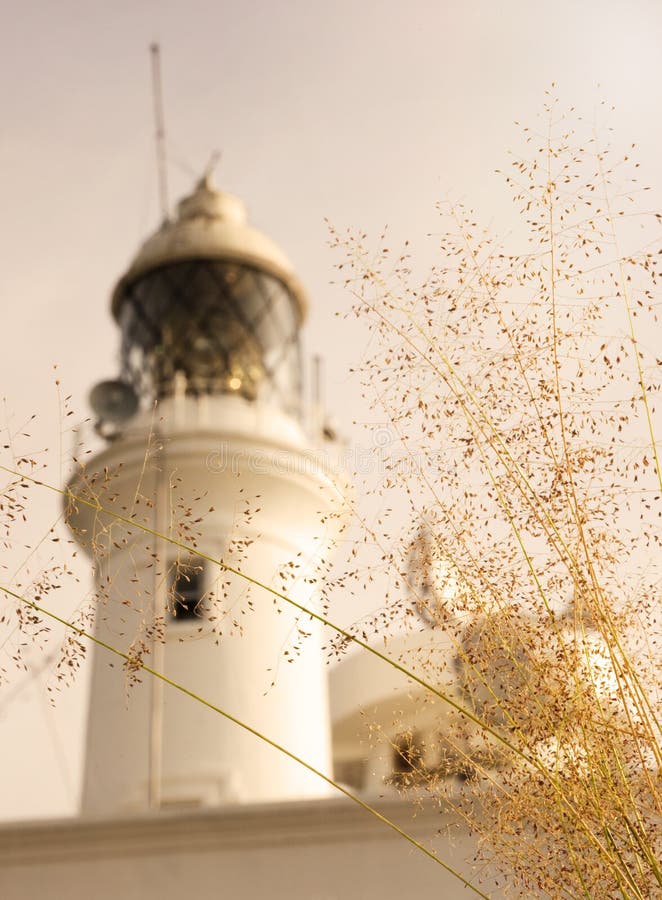 Light house stock image. Image of house, architecture - 4670603