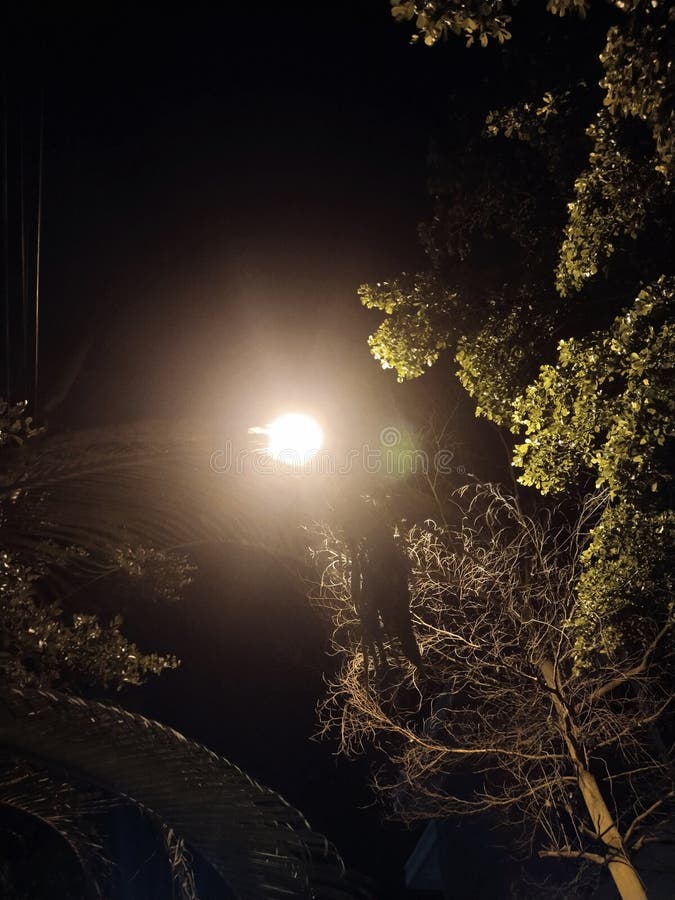 Nightbright Stock Photos - Free & Royalty-Free Stock Photos from Dreamstime