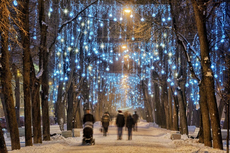 Light Illuminations on Trees Stock Image - Image of christmas, season ...