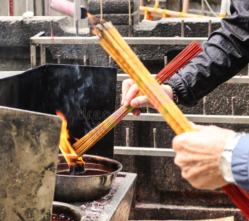 Sticks of Fire stock image. Image of garden, sunny, tropical - 23284701