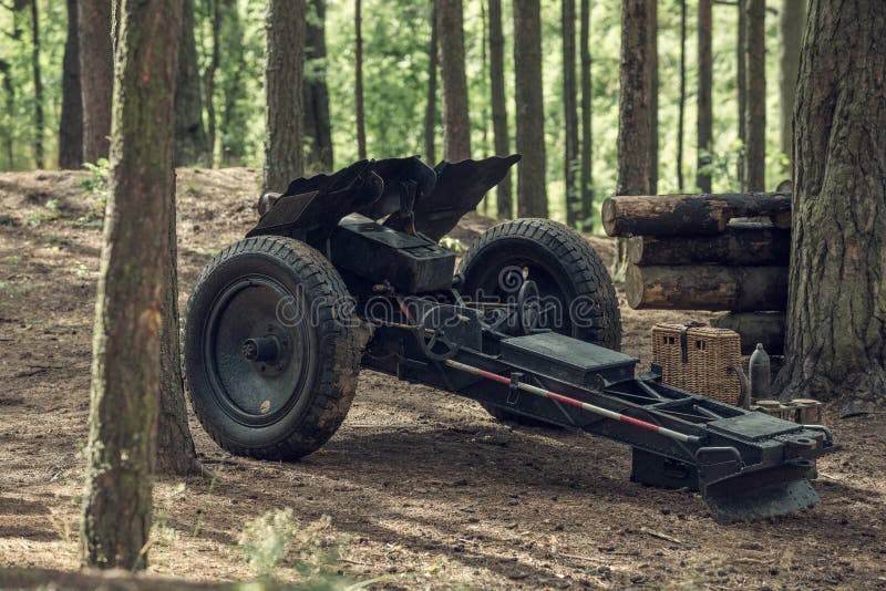 Light infantry cannon stock photo. Image of green, battle - 98596890
