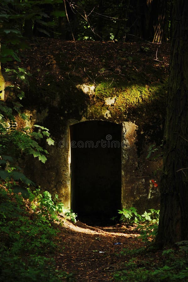 Light Inside Creepy Bunker in Forest Stock Image - Image of enigma ...