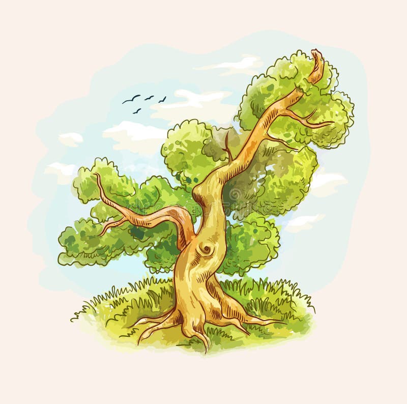 Vector Watercolor Old Oak Tree Stock Vector - Illustration of alone ...