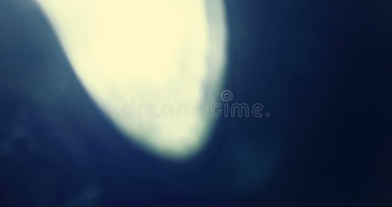 Light Leaks Element 136 stock video. Video of 16mm, light - 270497279