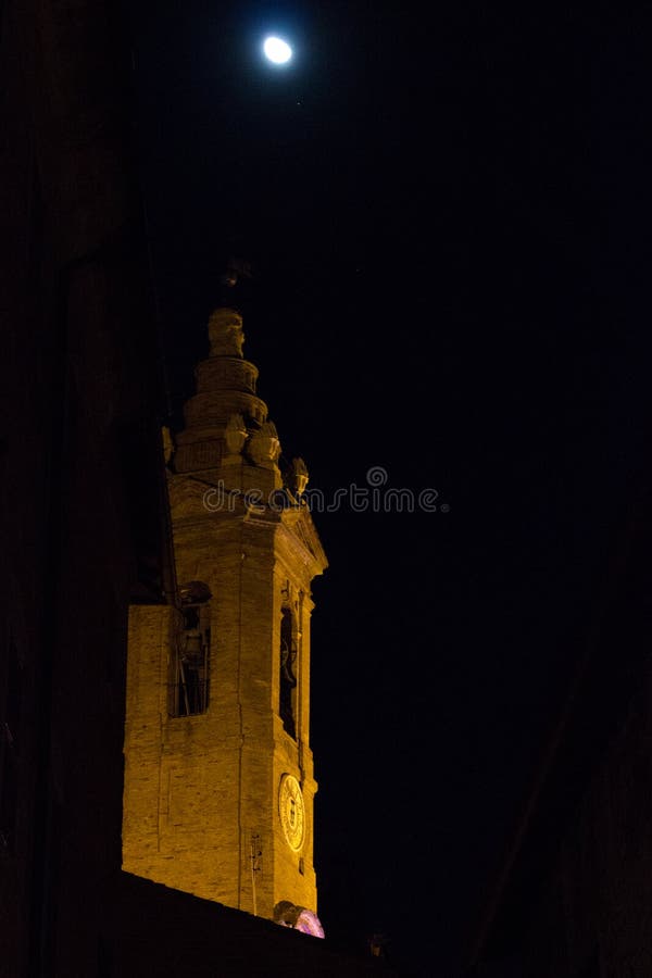 Light on the leaves. stock photo. Image of lights, green - 101729280