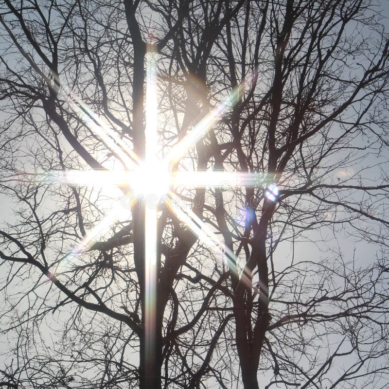 Let There Be Light Stock Photos - Download 82 Royalty Free Photos