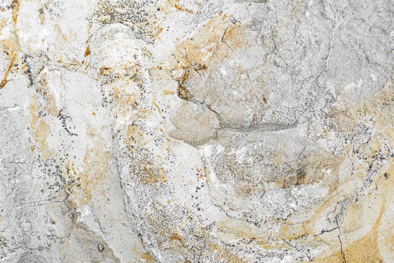 Light Limestone with Interesting Texture Visible. Background Stock ...