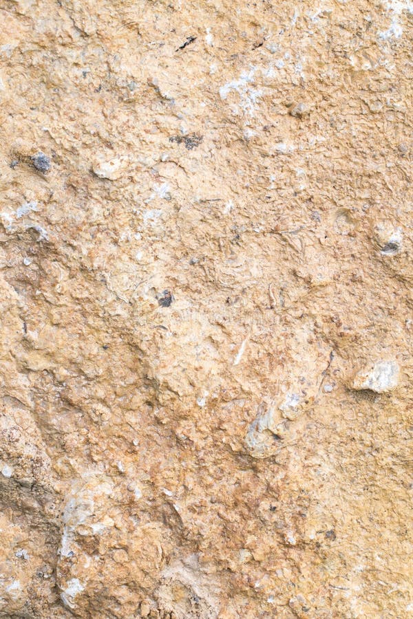 Light Limestone with Interesting Texture Visible. Background Stock ...
