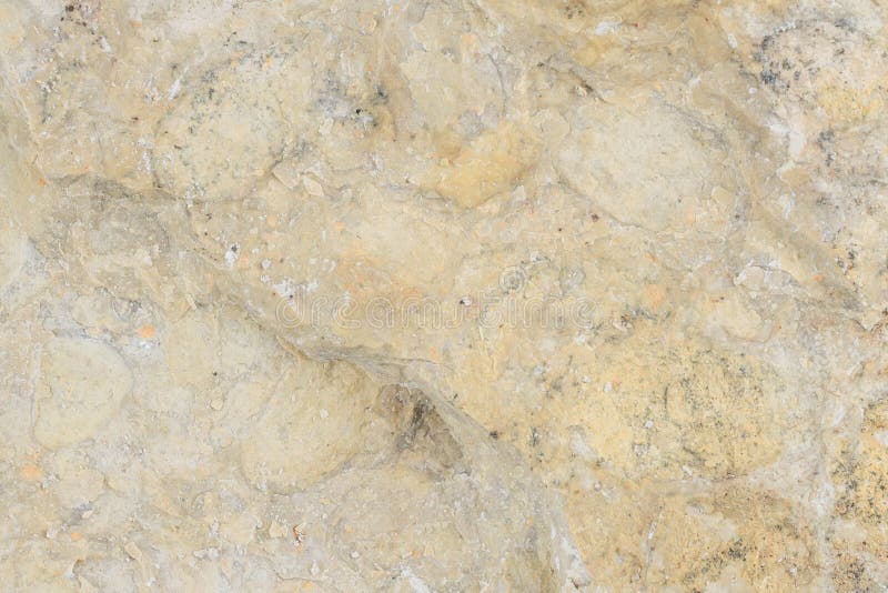 Light Limestone with Interesting Texture Visible. Background Stock ...