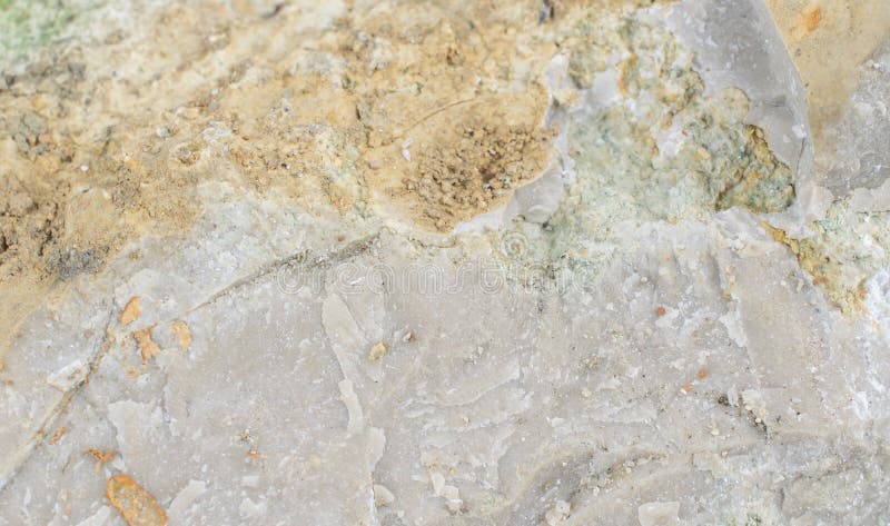 Light Limestone with Interesting Texture Visible. Background Stock ...