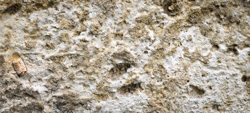Light Limestone with Interesting Texture Visible. Background Stock ...