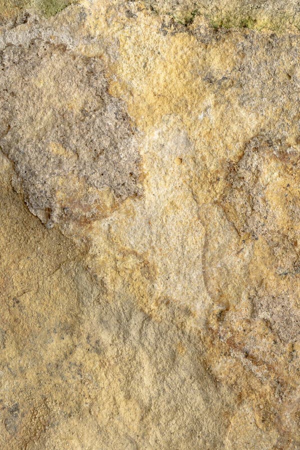 Light Limestone with Interesting Texture Visible. Background Stock ...