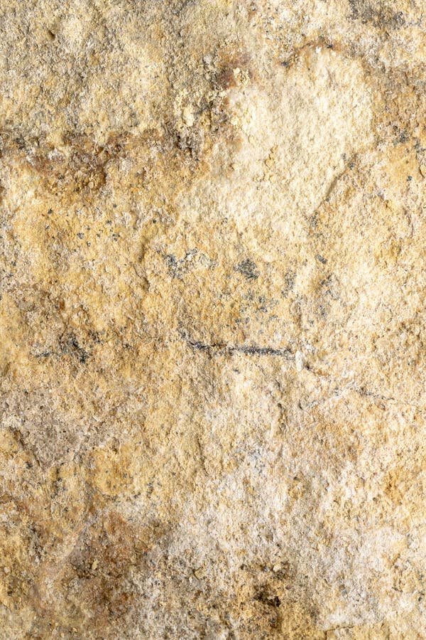 Light Limestone with Interesting Texture Visible. Background Stock ...