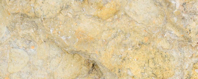 Light Limestone with Interesting Texture Visible. Background Stock ...