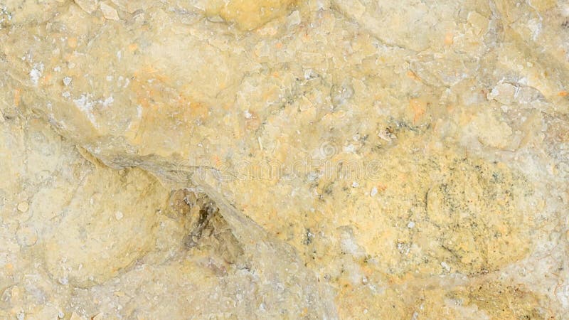Light Limestone with Interesting Texture Visible. Background Stock ...