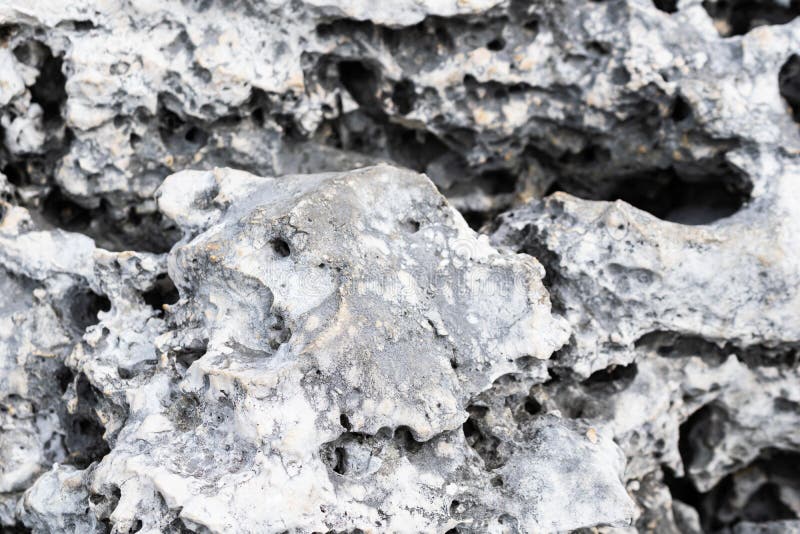 Light Limestone with Interesting Texture Visible. Background Stock ...