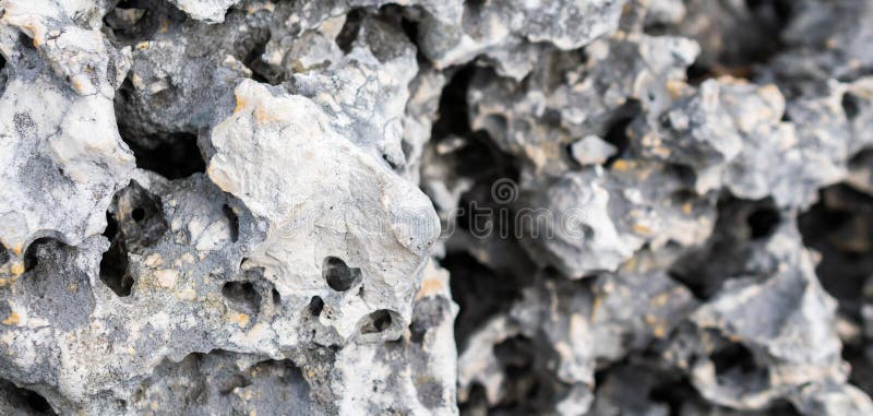 Light Limestone with Interesting Texture Visible. Background Stock ...
