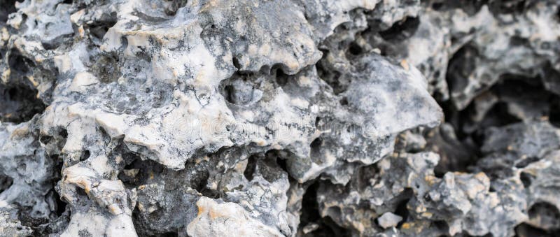 Light Limestone with Interesting Texture Visible. Background Stock ...