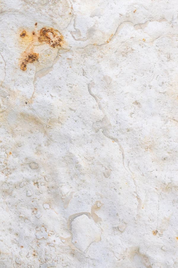 Light Limestone with Interesting Texture Visible. Background Stock ...