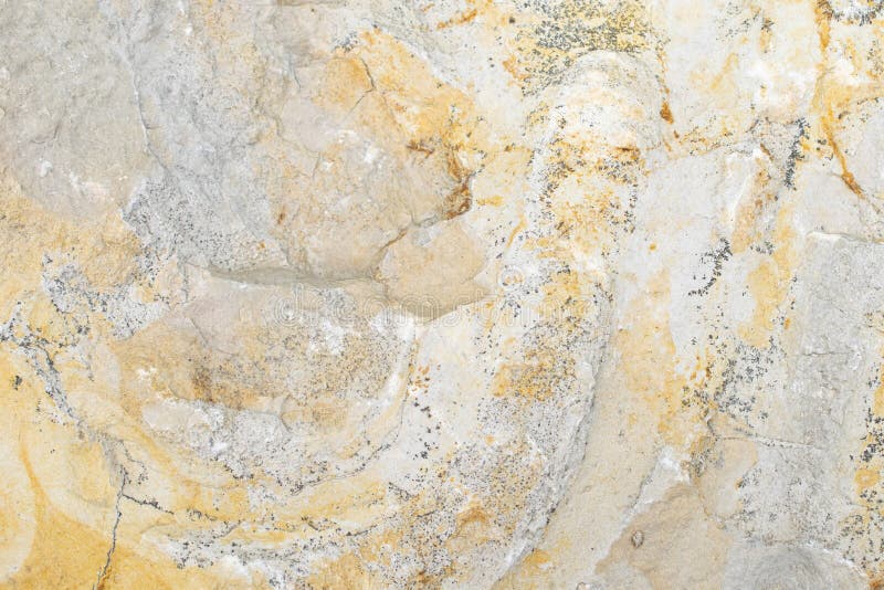 Light Limestone with Interesting Texture Visible. Background Stock ...