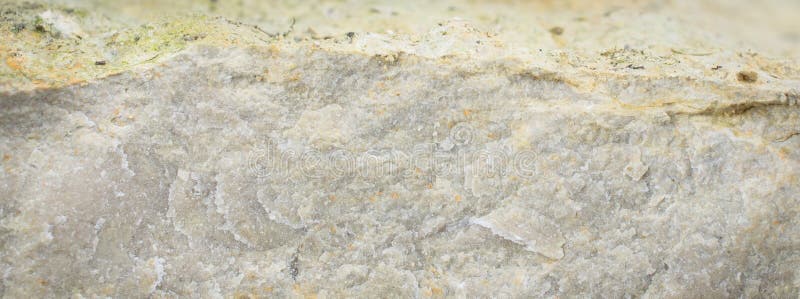 Light Limestone with Interesting Texture Visible. Background Stock ...