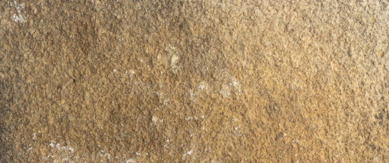 Light Limestone with Interesting Texture Visible. Background Stock ...