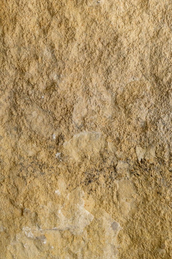 Light Limestone with Interesting Texture Visible. Background Stock ...