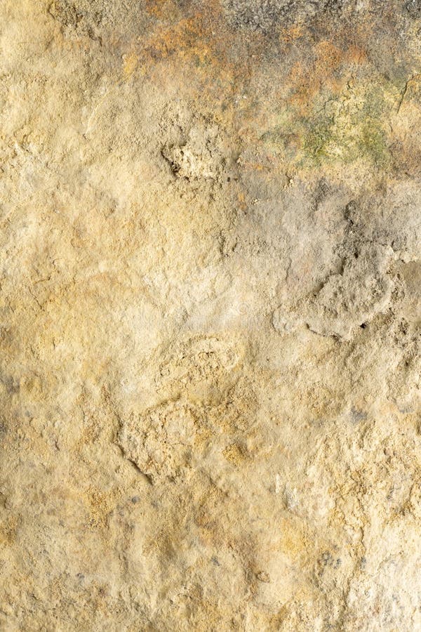 Light Limestone with Interesting Texture Visible. Background Stock ...
