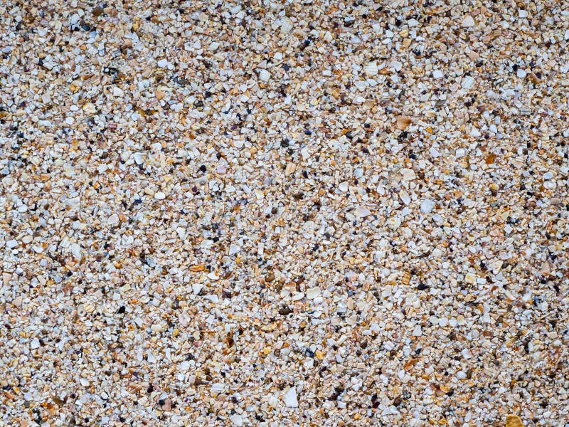 Light Limestone Slab with Shell Marks. Shell Rock Texture Stock Image ...