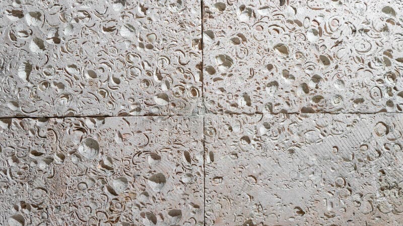 This is a Light Limestone Slab with Traces of Shells Stock Photo ...