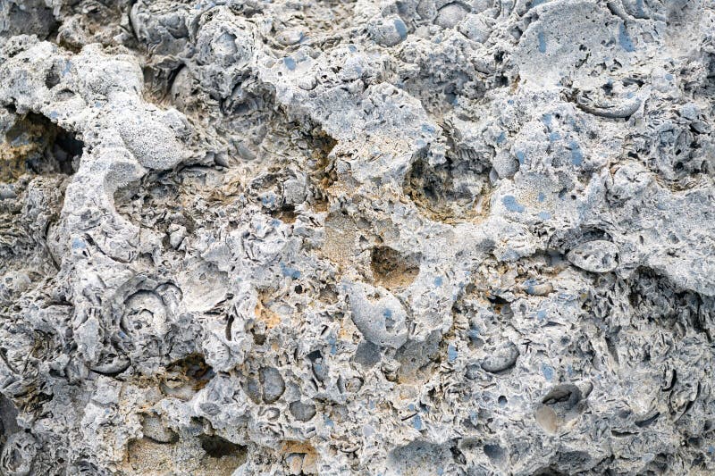 Light Limestone with Traces of Shells. Shell Texture Stock Image ...