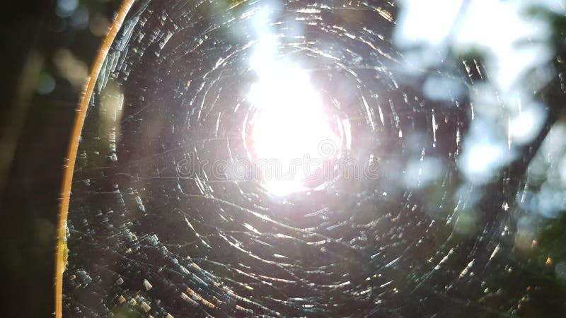 Light Magic Reflection on Spider Net Stock Image - Image of star ...