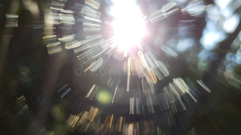 Light Magic Reflection On Spider Net Stock Image - Image of reflection ...