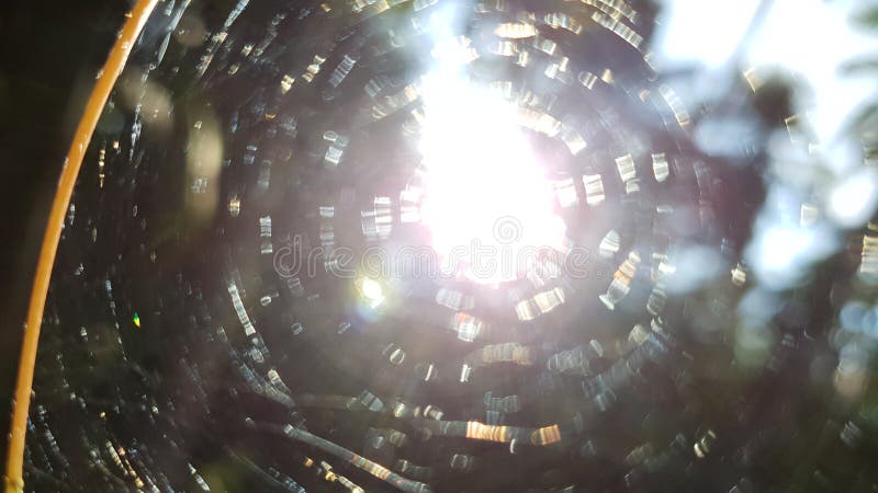 Light Magic Reflection on Spider Net Stock Photo - Image of night ...
