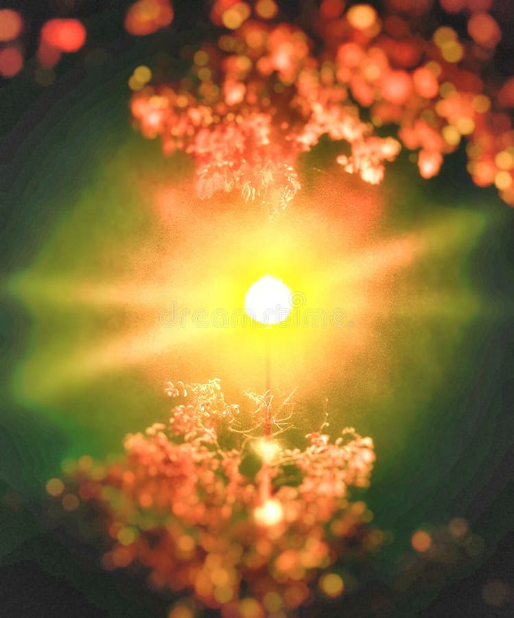 Light that Makes it a Beautiful and Charming Picture Stock Image ...