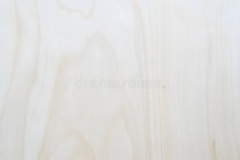 Light Maple Wood Texture with Fine Tight Grain and Clean Horizontal ...