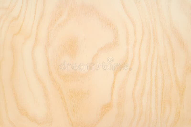 Light Maple Wood Texture with Subtle Pattern and Smooth Matte Finish ...