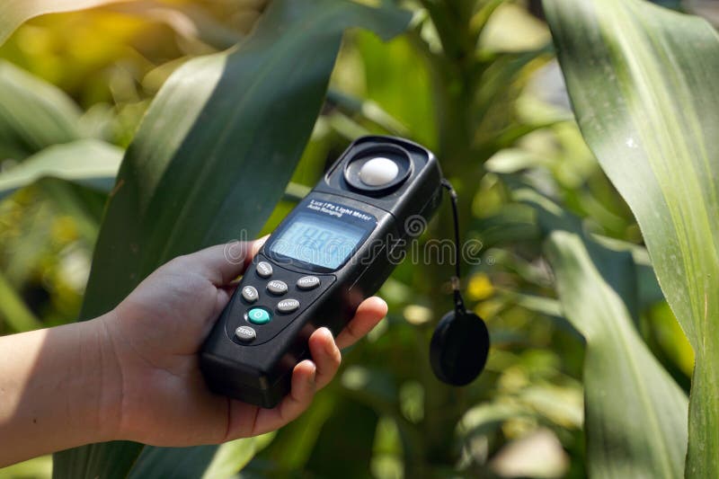 Light Meter, Lux Light Meter in Hand while Measuring Light Intensity ...
