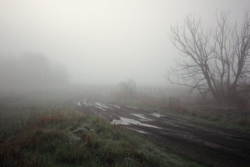Light mist stock image. Image of yellow, light, canada - 83256903