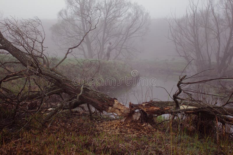 Light mist stock image. Image of bright, texture, blue - 83257085